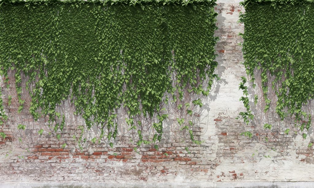 Leaves with Bricks – Adecohome