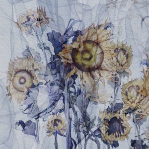 Blue Shadow of Flowers – Adecohome